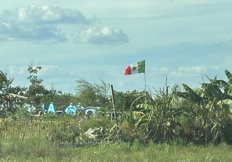 ANALYSIS: On the Ground in Colony Ridge - Texas Scorecard