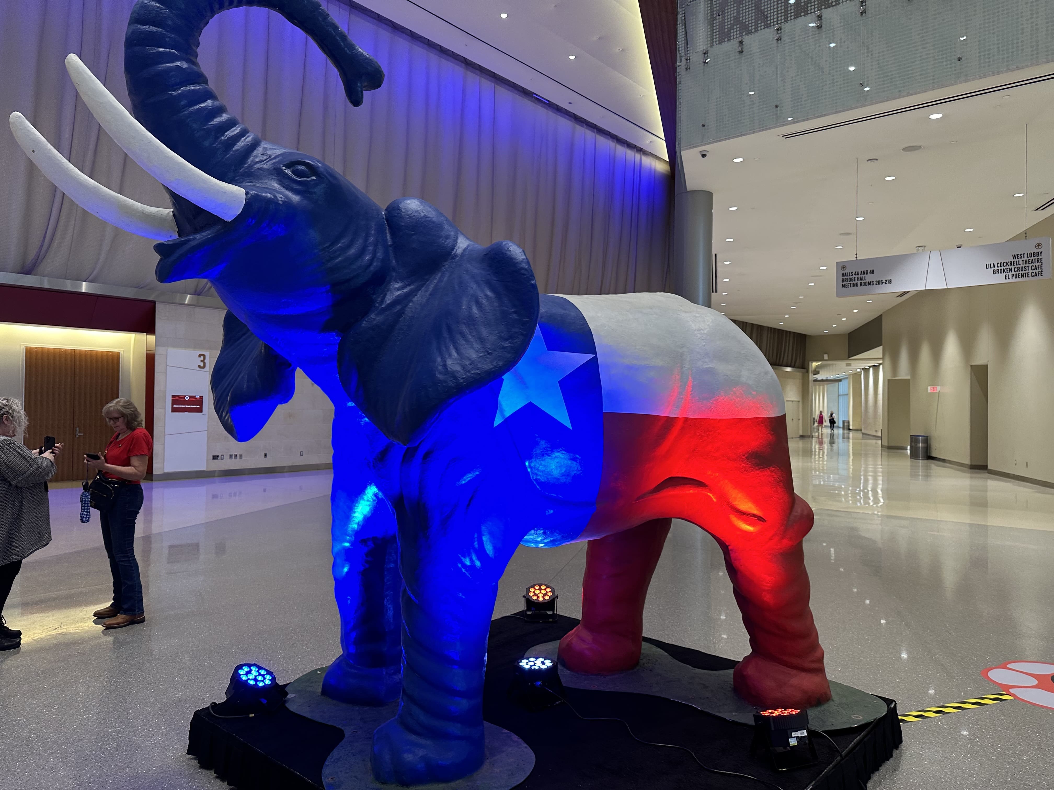 Meet the Freshmen: Matt Morgan - Texas Scorecard